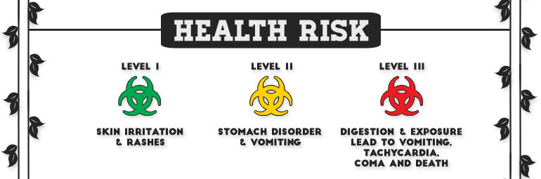 17 Toxic Plants In Your Garden - Fantastic Gardeners Blog