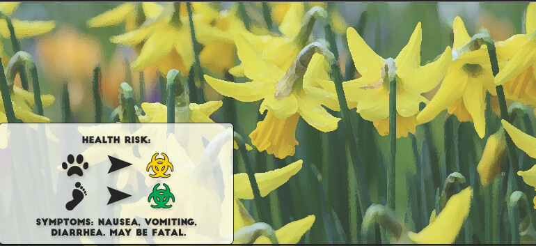 17 Toxic Plants In Your Garden - Fantastic Gardeners Blog