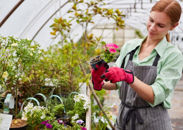 Grow More with Proper Greenhouse Maintenance - FG Blog UK