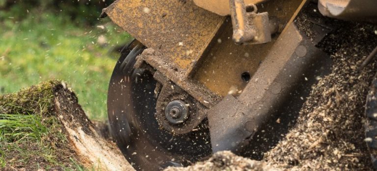 Effective Tree Stumps Removal Techniques Explained - FG UK