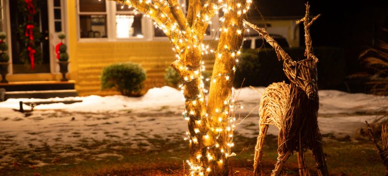 Christmas Garden Ideas for Stunning Outdoor Decoration