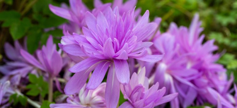 11 Blooming Flowers for Your October Wedding Bouquet UK