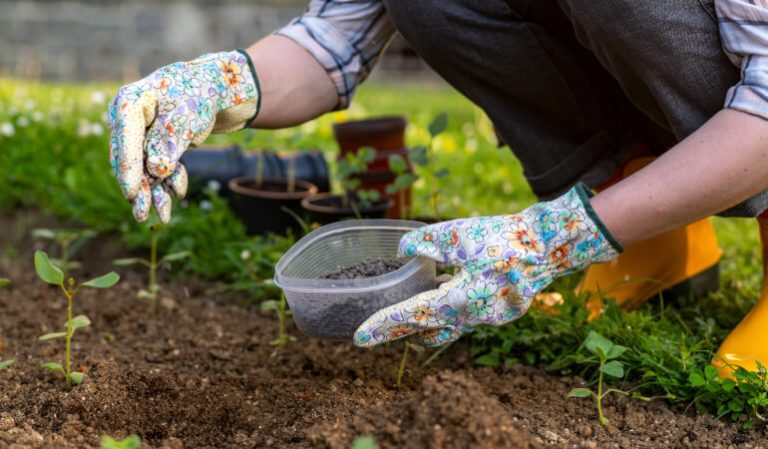 When to Put Manure on the Garden in UK? - Fantastic Gardeners