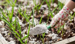 Is Ash Good for Soil? Benefits for Your Garden Explained - FG